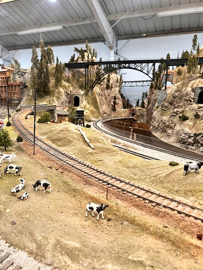 Holstein cattle graze peacefully, blissfully unaware they're starring in the world's most charming pastoral scene.