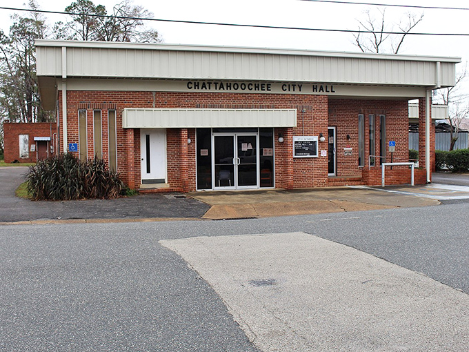 City Hall might not win architectural awards, but its modest brick fa&ccedil;ade represents accessible government where your concerns actually get heard.