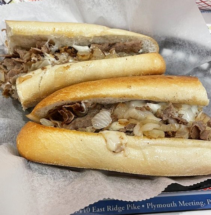A proper cheesesteak should glisten with just enough grease to remind you that you're alive. Lou's understands this fundamental truth.
