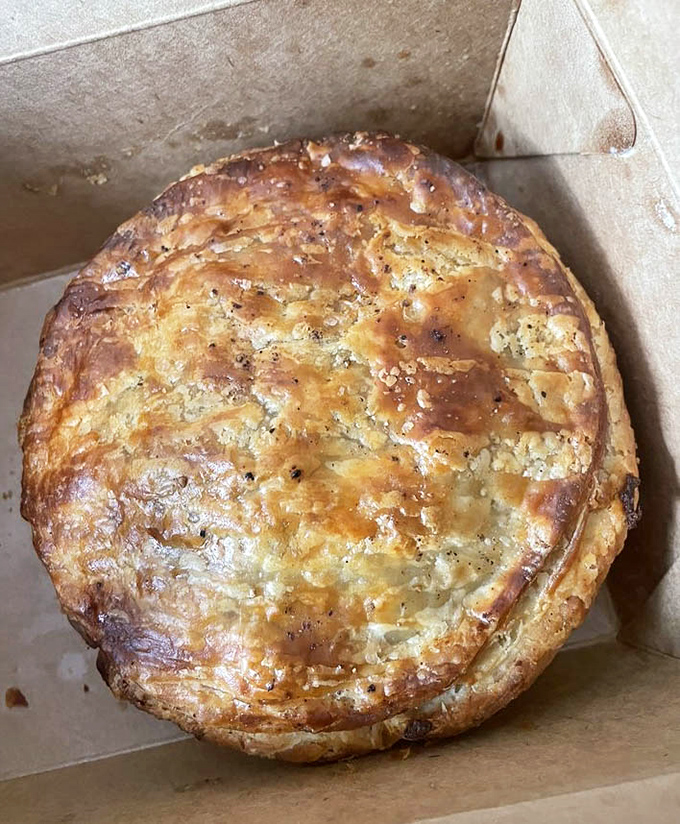 Golden-brown chicken pot pie that looks like it auditioned for a food magazine cover and got the job on the first try.