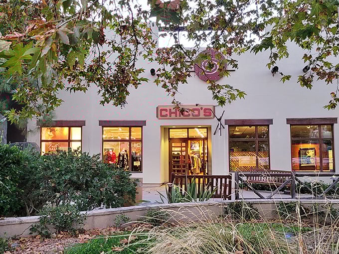 Chico's storefront glows invitingly at dusk, framed by autumn leaves. Fashion finds await inside, no passport to Milan required.