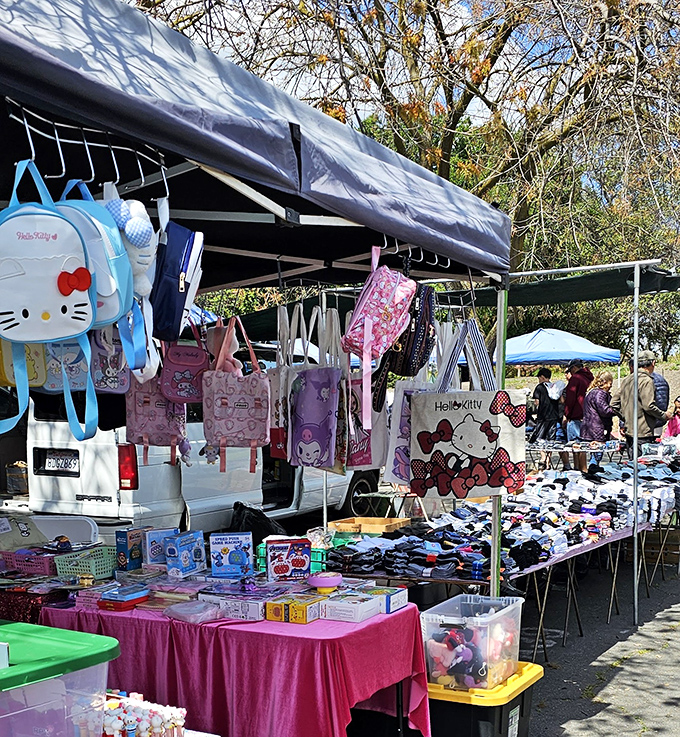 Hello Kitty heaven! Kids' backpacks and accessories that would make any elementary school hallway look like a fashion runway for the under-10 set.