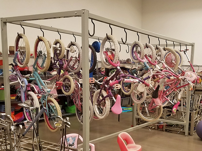 Bicycle bonanza! These suspended kid-sized wheels are just waiting for new adventures and skinned knees on Arizona cul-de-sacs.