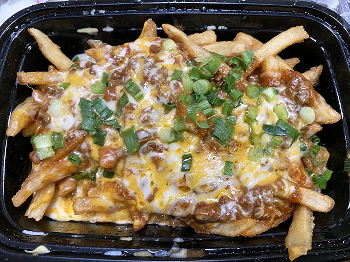 Chili cheese fries that could make a cardiologist weep &ndash; first with professional concern, then with undeniable pleasure. Green onions add a token nod to vegetables.