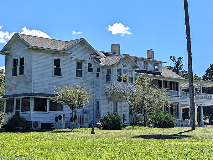 Chinsegut Hill's stately presence reminds us that Florida had culture long before mouse ears became the state's unofficial symbol.