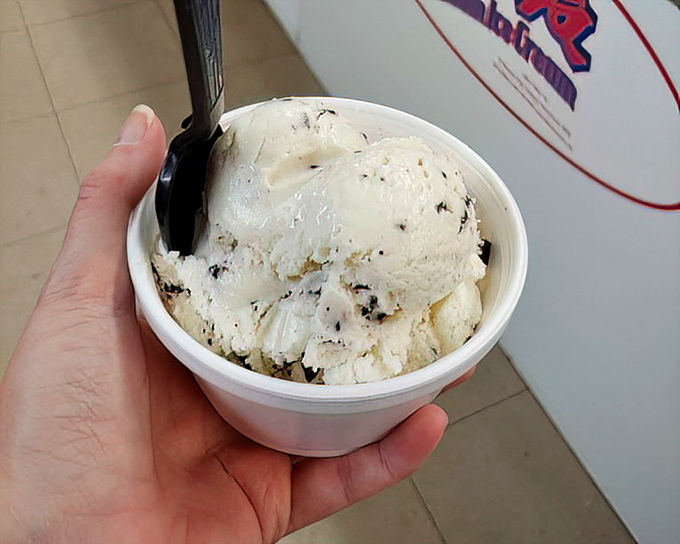 Chocolate chip ice cream scooped with generous abandon&mdash;proof that happiness can indeed fit in a small container.