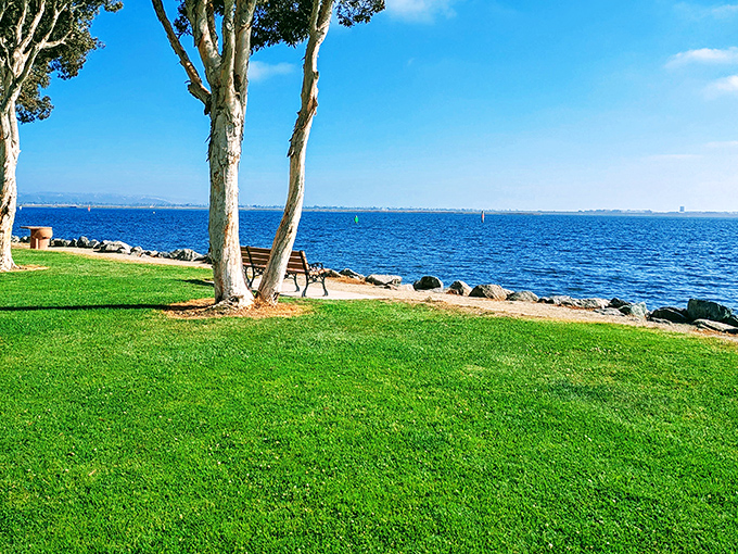 Bayside Park offers the kind of tranquility that makes retirement worthwhile. That bench is practically begging for you and a good book.