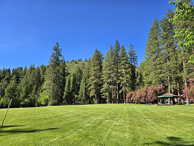 City Park's emerald expanse invites impromptu picnics and afternoon naps. Retirement goals: grass this green, sky this blue.