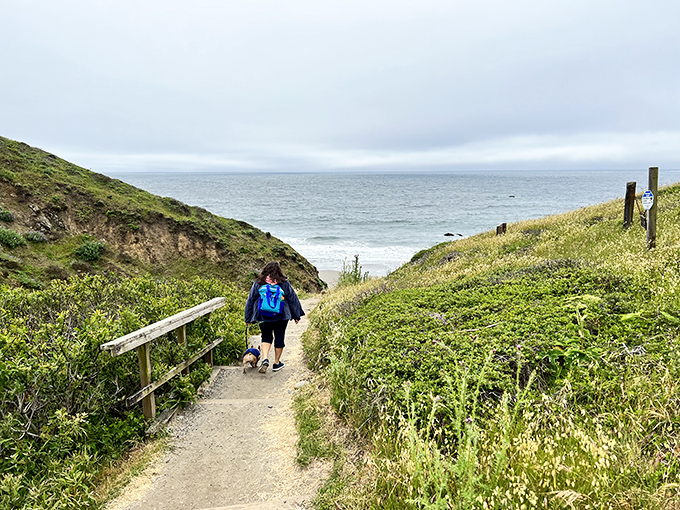 The path to the Pacific promises more than just a view &ndash; it delivers that rare moment when you remember why you left your couch in the first place.