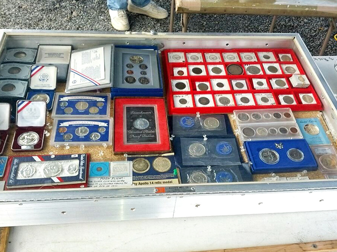 Numismatic treasures gleam like tiny time machines, each coin whispering tales from America's monetary past.