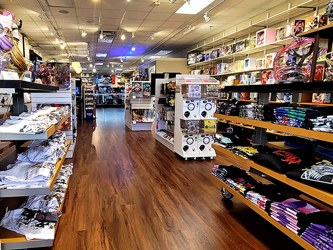 Not just any store&mdash;a treasure trove of collectibles and memorabilia where grown adults can justify purchases as "investments." Your inner child is nodding vigorously.