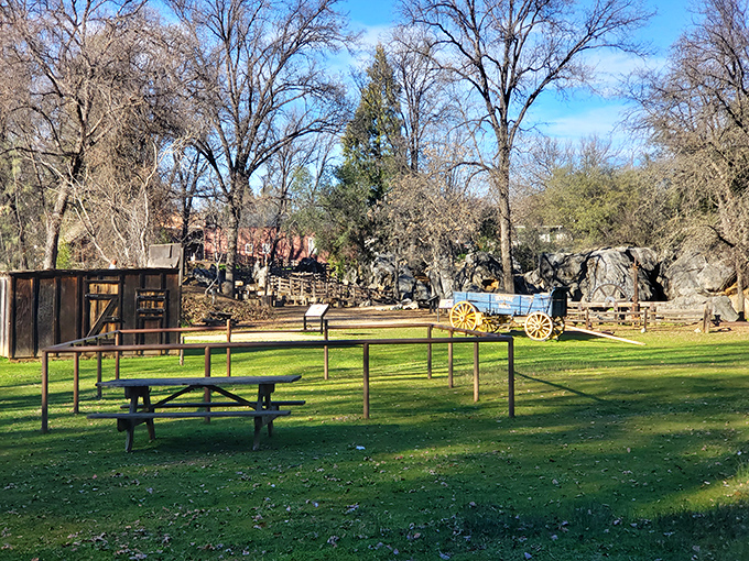 There&rsquo;s something magical about sitting in the sunshine while history leans casually in the background, wheels and all.