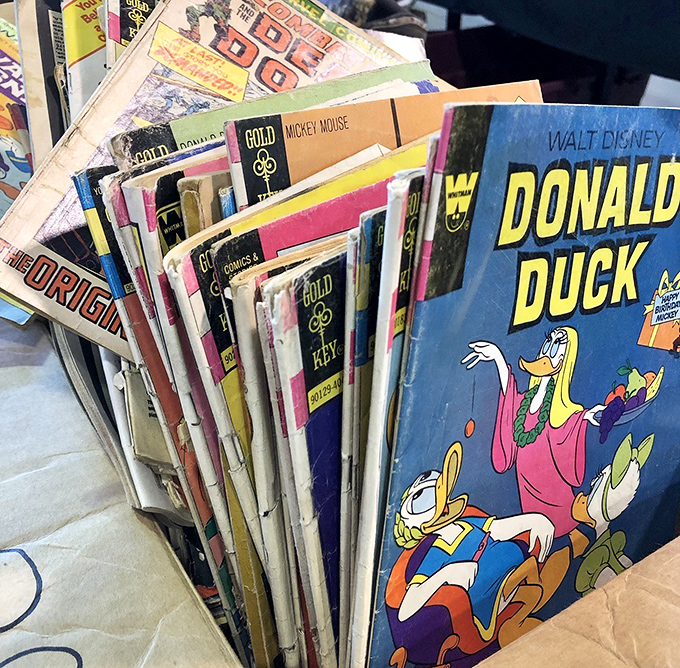 Donald Duck and friends stand guard over a collection of vintage comics that would make any grown-up kid's heart skip a beat.