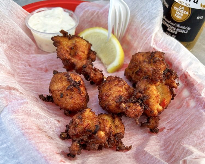 Conch fritters that look like they've been kissed by the sun, with a spicy kick that reminds you you're in Florida, not some sanitized theme park.