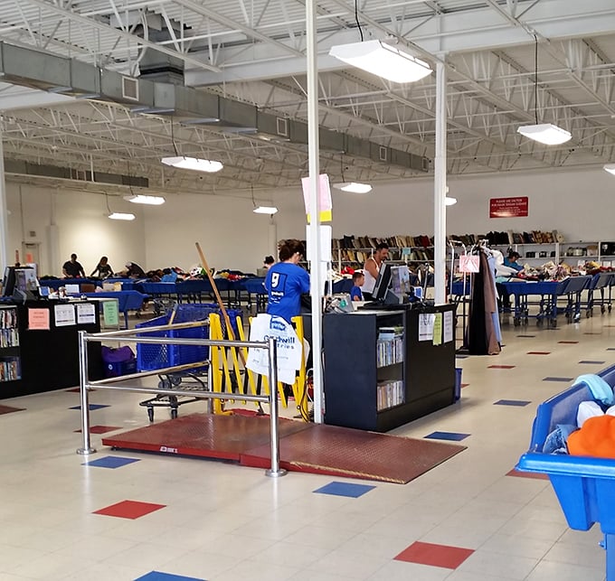 Beneath industrial ceilings and fluorescent constellations, shoppers orbit around freshly rotated bins like planets around a bargain-priced sun.