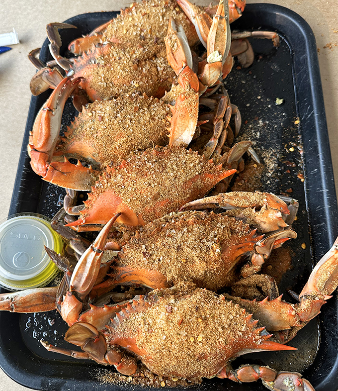 Behold the main event: Maryland blue crabs dusted generously with spice, ready for the satisfying crack-and-pick ritual that rewards patience with sweet, tender meat.