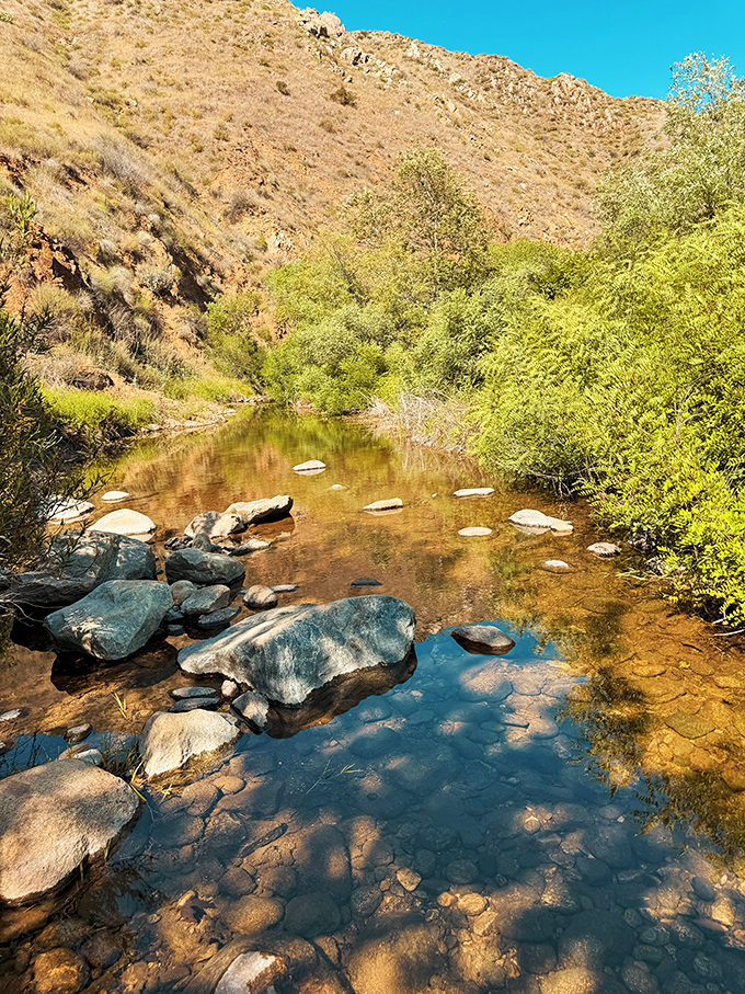 Mother Nature's stepping stones: Cedar Creek meanders through the gorge, creating crystal-clear pools that reflect the sky like nature's own infinity mirrors.