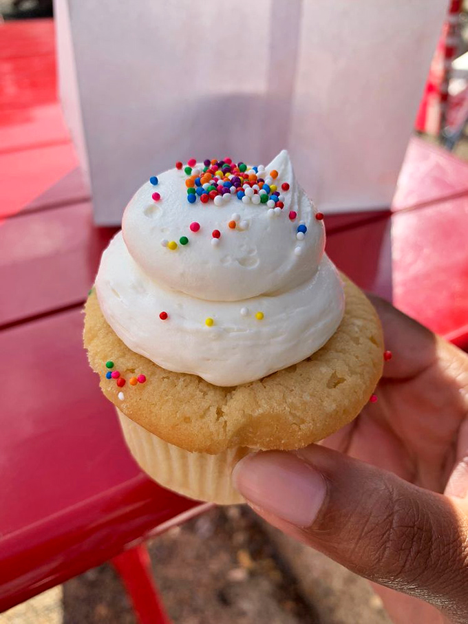 Sprinkles aren't just for kids&mdash;they're tiny, colorful reminders that joy comes in small packages. This vanilla cupcake practically whispers, "Go ahead, you deserve me."