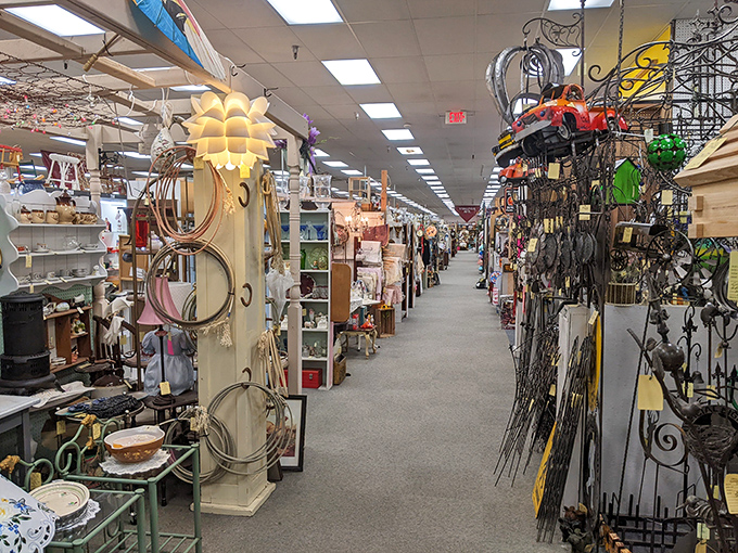 Down the rabbit hole of collectibles! These endless aisles promise discoveries that will have you texting photos to bewildered family members.