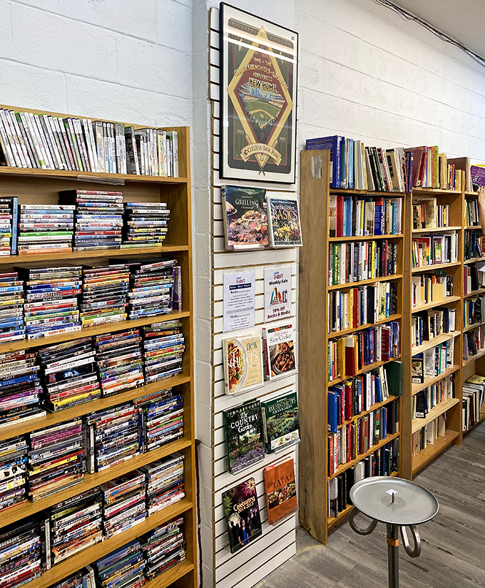 The media section offers enough entertainment to survive several Pennsylvania winters. Remember DVDs? They're like streaming services that never buffer.