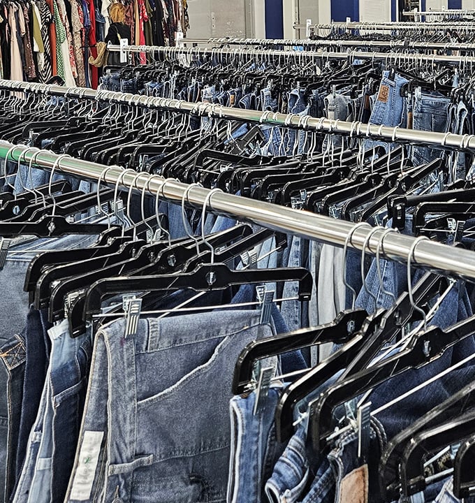 Denim for days! Like a blue jean forest where every pair promises adventure and the possibility of finding that perfect fit.