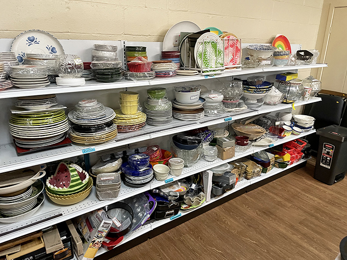Dish-covery zone! From everyday plates to special occasion serveware, these shelves hold the potential for countless future dinner parties and family meals.