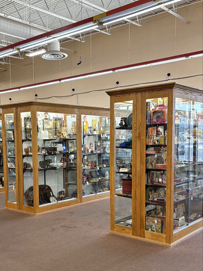 Elegant oak display cases house treasures too precious for open shelving. These mini-museums within the mall showcase the most valuable collectibles.