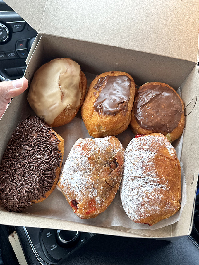 A box of donuts so beautiful it belongs in the Louvre. The powdered sugar ones are practically wearing little snow jackets.
