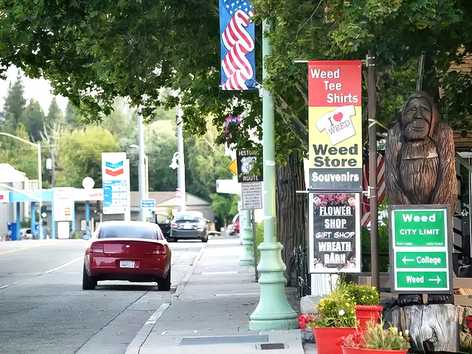 Downtown Weed looks like Mayberry got a California address and better weather year-round.
