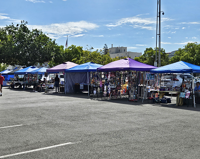 Oroville's farmers market showcases local bounty under a canopy of California blue sky. These aren't your average supermarket tomatoes that traveled farther than you did on your last vacation.