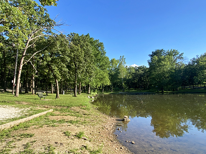 Peaceful park waters reflect lazy afternoon dreams, where ducks paddle and retirees remember why simple pleasures matter most.