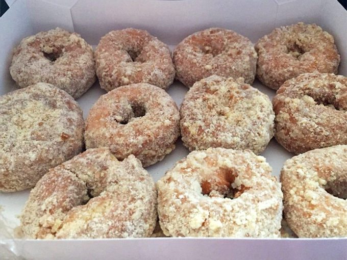 Dutch crumb donuts lined up like golden soldiers, ready to sweeten your day beyond imagination.