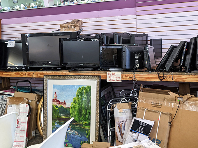 The electronics graveyard where yesterday's technology finds new purpose. That framed landscape painting is just waiting for its forever wall.