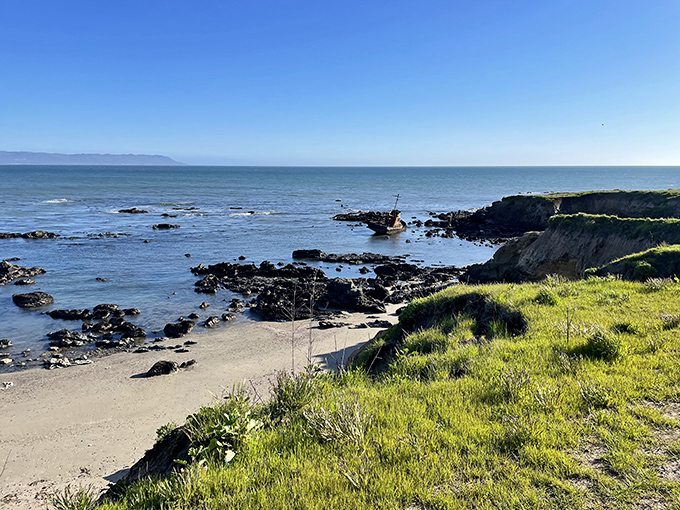 Estero Bluffs offers the kind of coastal hiking where you'll need both your camera and your sense of wonder fully charged.