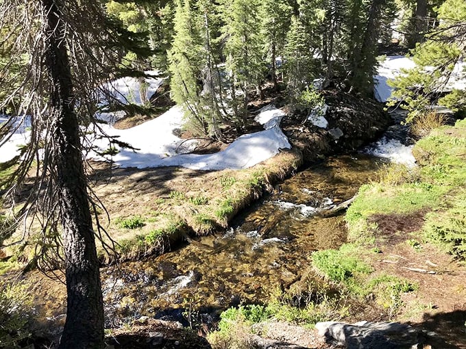 Early season hiking rewards: patches of snow, flowing creeks, and that smug feeling when you're the only one enjoying this pristine scene.
