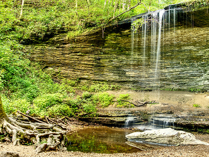 Fall Hollow Falls creates nature's own soundtrack, proving Tennessee's waterfalls rival any expensive spa experience.