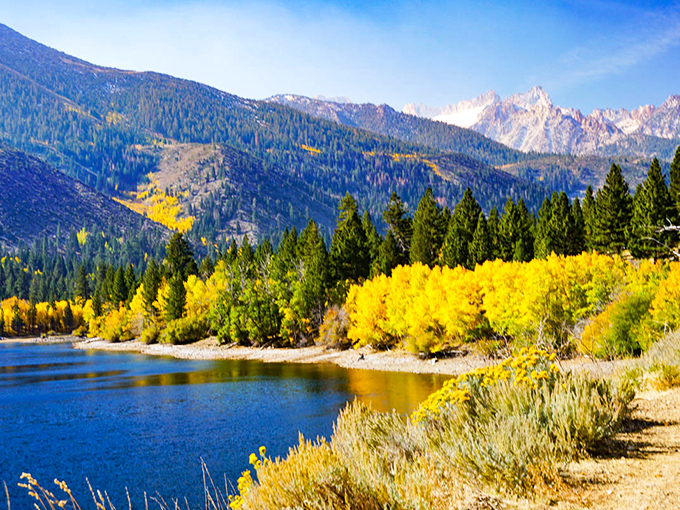 Autumn's golden touch turns June Lake Loop into a treasure chest of colors that would make King Midas jealous.
