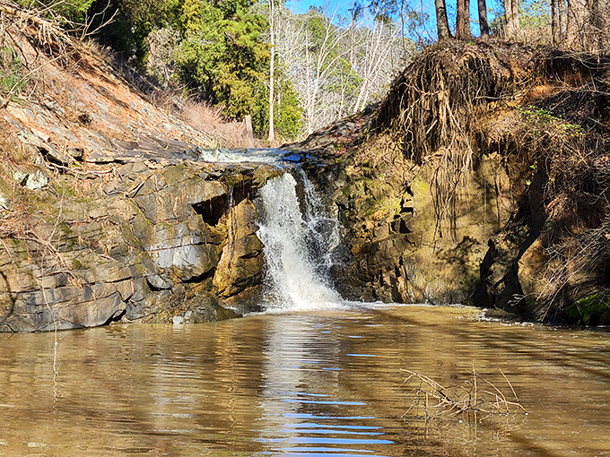 South Carolina's version of Niagara Falls? Not quite, but this charming waterfall offers its own humble magic without the tourist crowds.