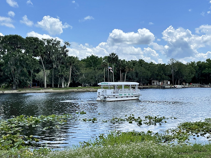 The island ferry: Florida's version of "I'm on a boat!" but with significantly fewer rap videos and significantly more wildlife spotting opportunities.