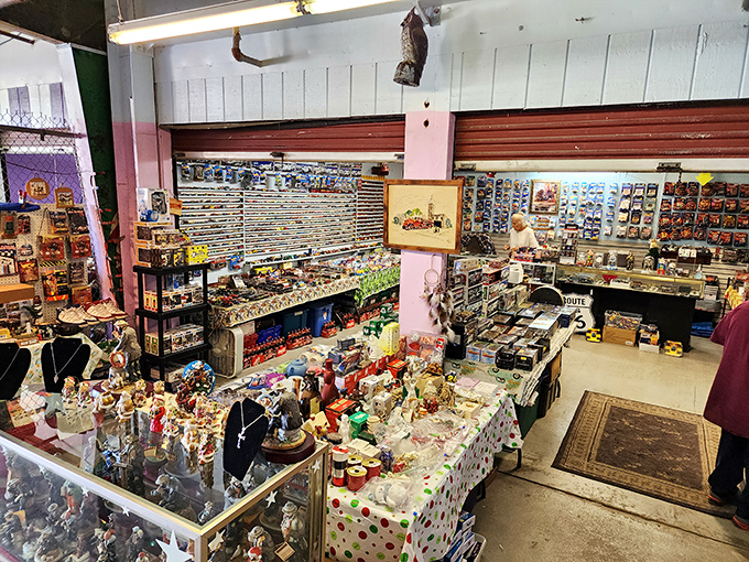 Action figures stand at attention like tiny soldiers guarding a kingdom of collectible dreams and memories.