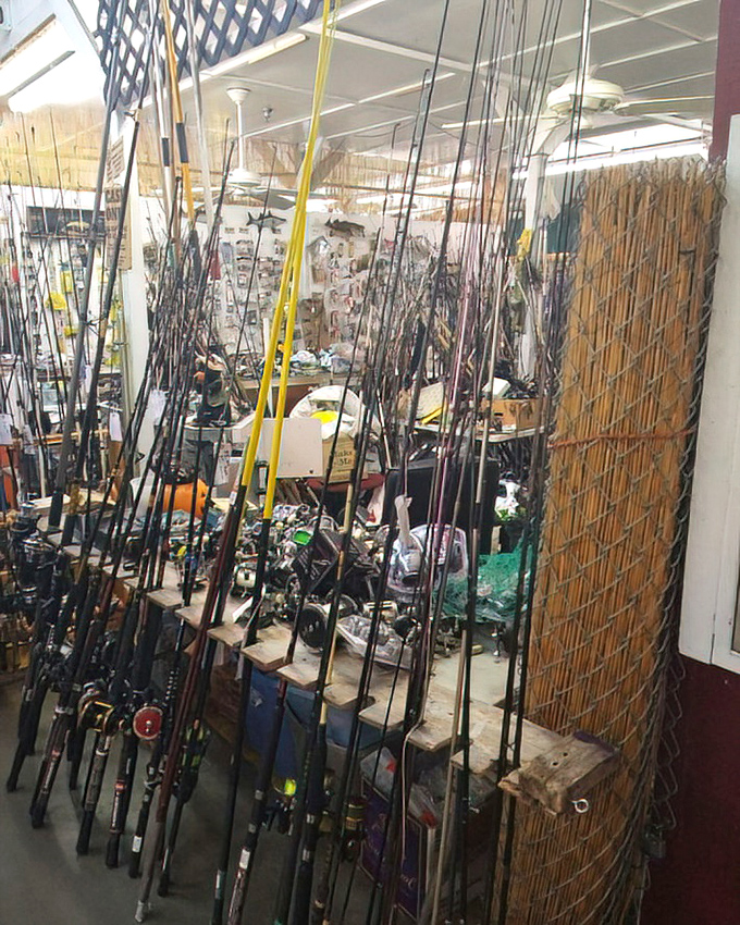 Fishing rod forest where anglers dream of the one that won't get away. Every pole tells a story of possibilities in Florida's abundant waters.