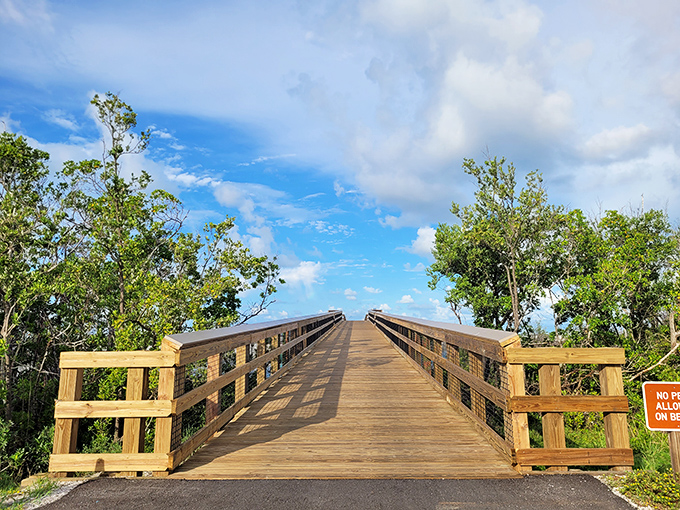 This wooden walkway isn't just a bridge &ndash; it's a portal between everyday life and the natural sanctuary waiting on the other side.