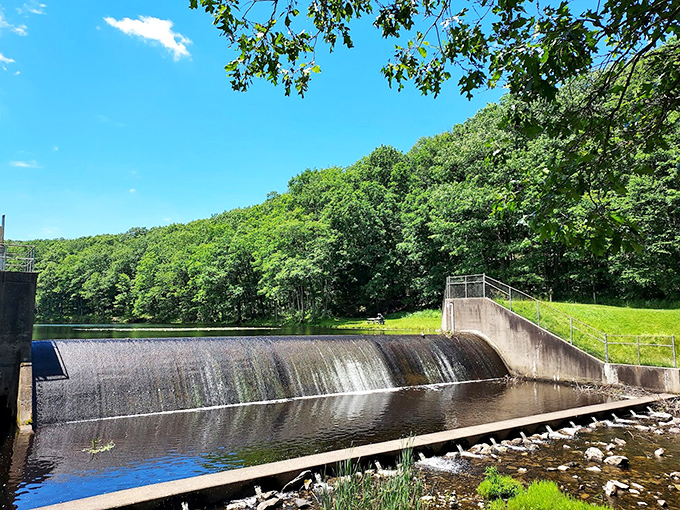 Water cascading over concrete never looked so poetic. This dam transforms simple physics into a mesmerizing natural spectacle.