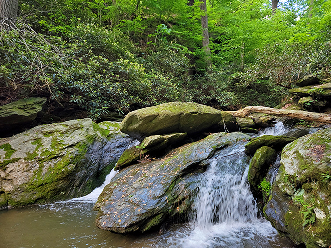 Hidden cascades tumble over moss-covered boulders, creating nature's own private water feature worth the woodland walk.