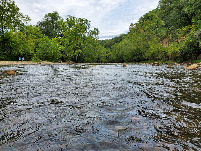 Wolf Creek's gentle current writes poetry in ripples, while trees lean in like eager listeners at a captivating reading.