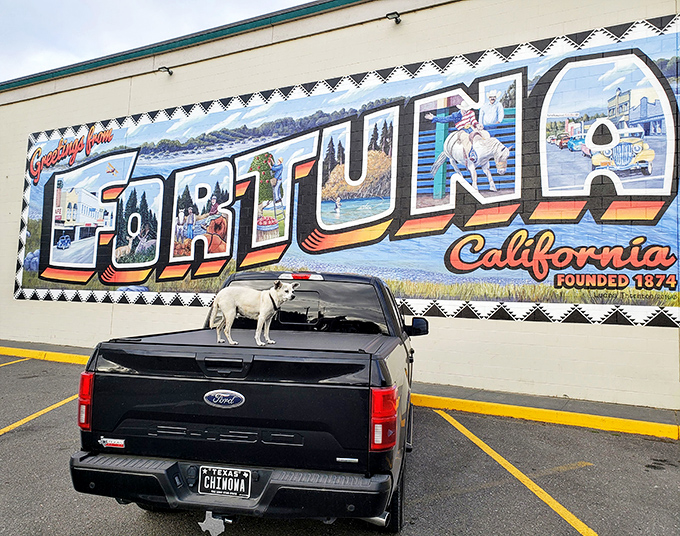 This Fortuna mural celebrates local history with artwork that doesn't require an art degree to understand and appreciate.