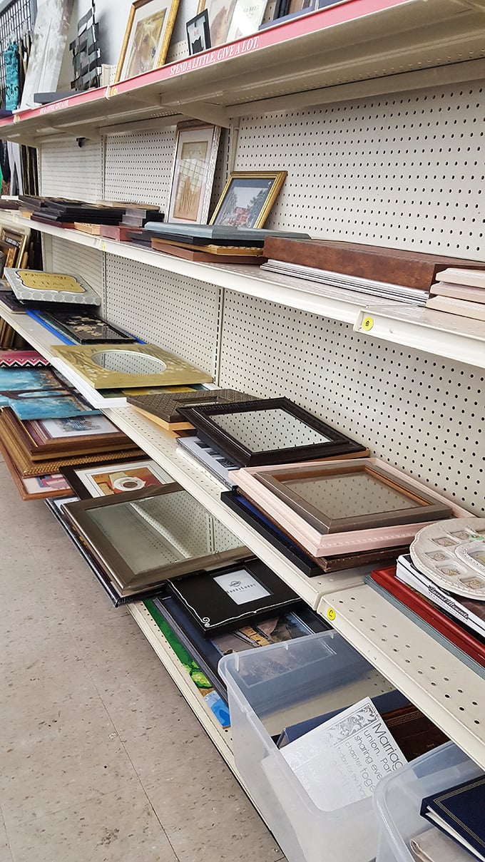 Picture this: frames of every shape and size waiting to showcase your memories or that quirky art you've been hiding.