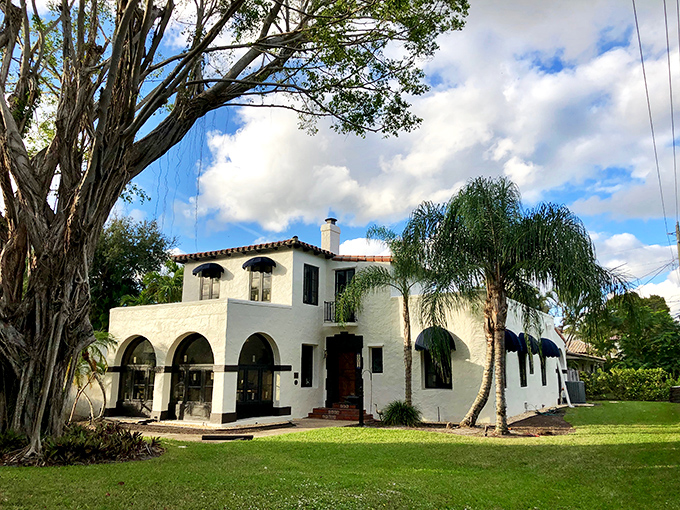 South County Regional Park's pavilions reflect perfectly in still waters, nature's version of Instagram filters before phones existed.
