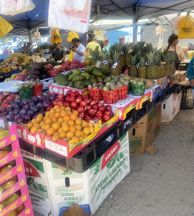 Nature's candy displayed in rainbow formation. Fresh produce that makes grocery store offerings look like pale imitations of the real thing.