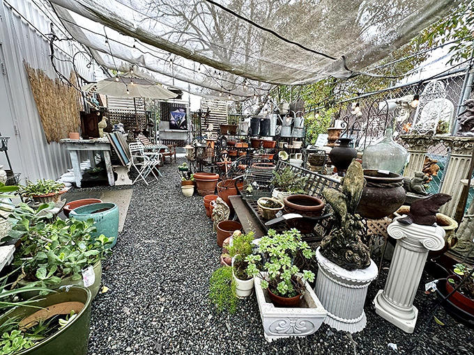 This outdoor garden section feels like stumbling into a secret courtyard where classical columns and weathered planters await their second act in someone's home.